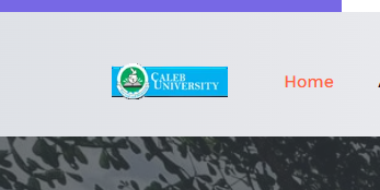 List of Courses offered in Caleb University & Admission Requirements ...